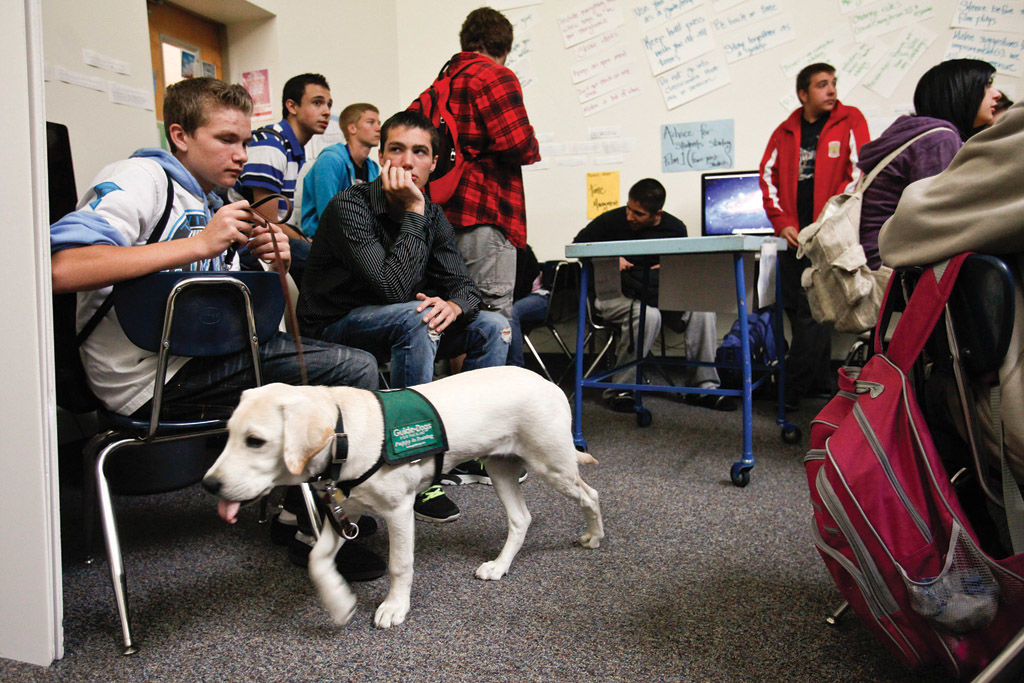 Man’s best friend trained as guide dog at Ben lomond High classroom ...